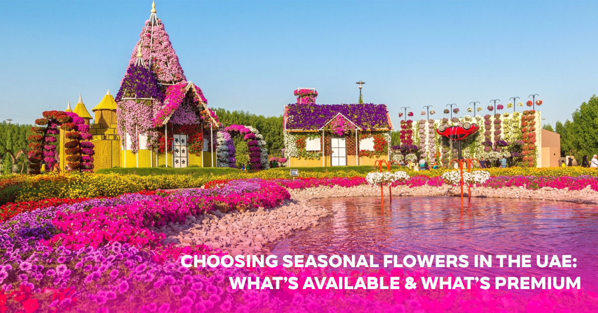 Choosing Seasonal Flowers in the UAE: What’s Available & What’s Premium ...